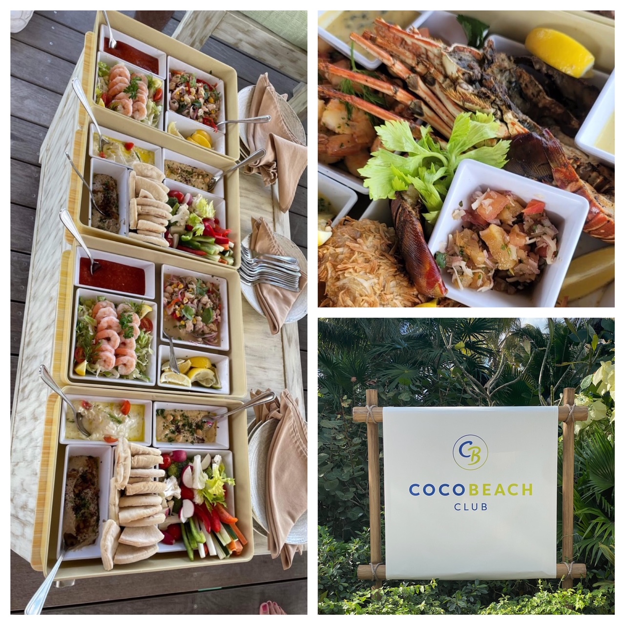 Dining & Drinking at Perfect Day at CocoCay! - Marvelous Mouse Travels