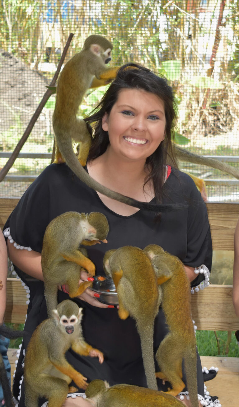 Susanah Clevenger - Marvelous Mouse Travels