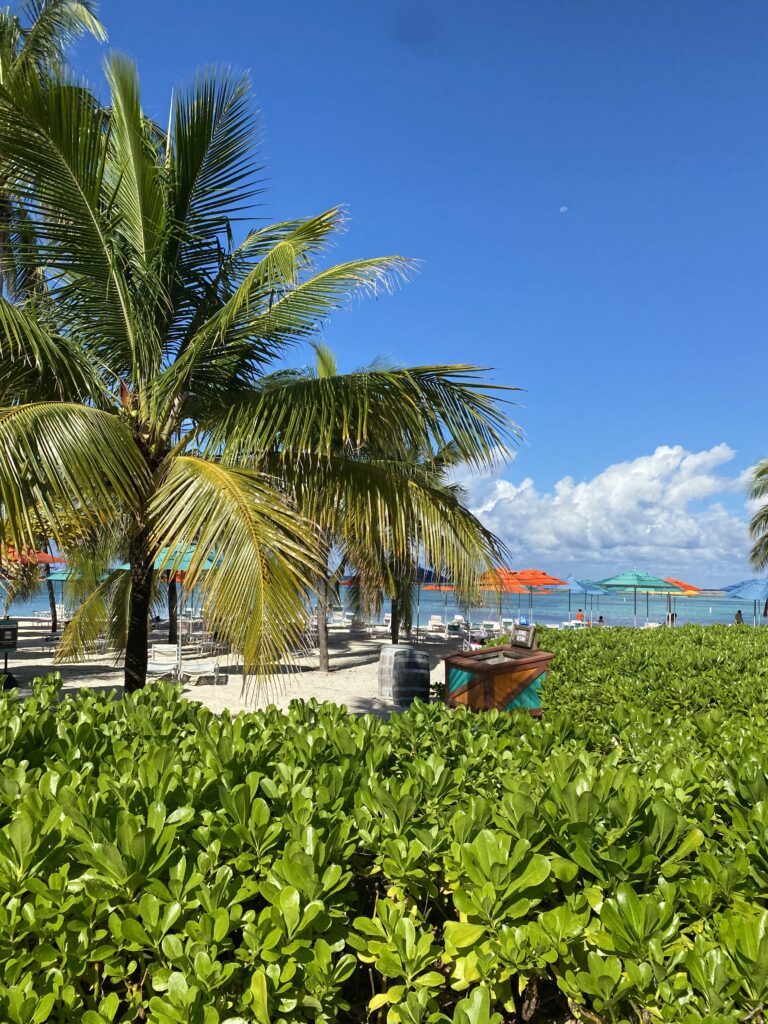 Lookout Cay vs Castaway Cay - a Comparison of Disney’s Private ...
